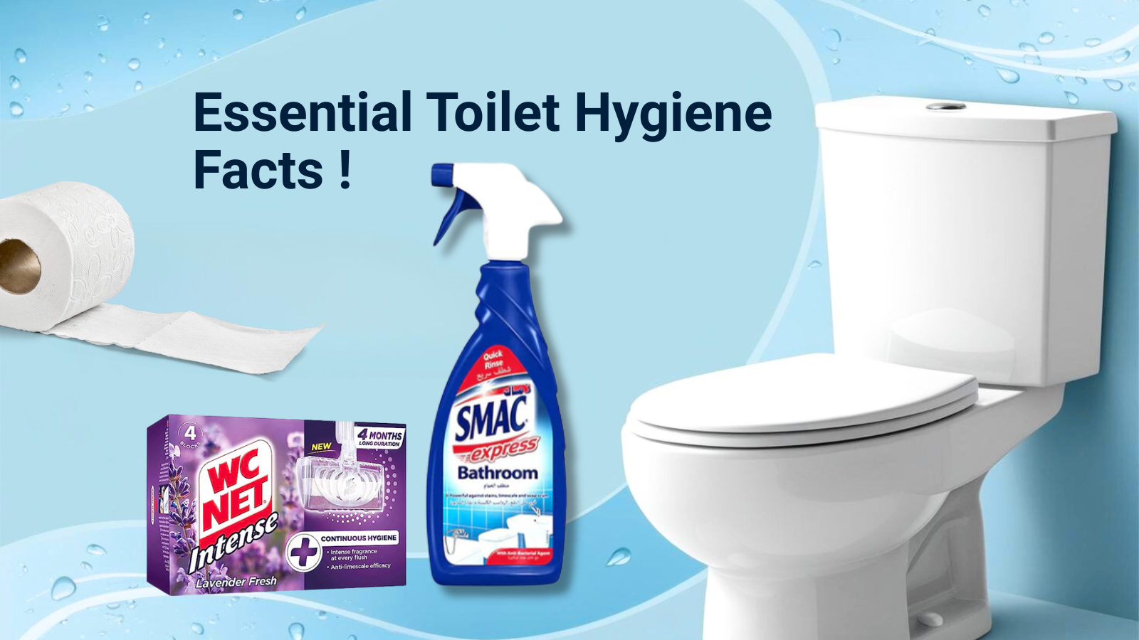 Essential Toilet Hygiene Facts | Sunbeam Merchantile Ventures